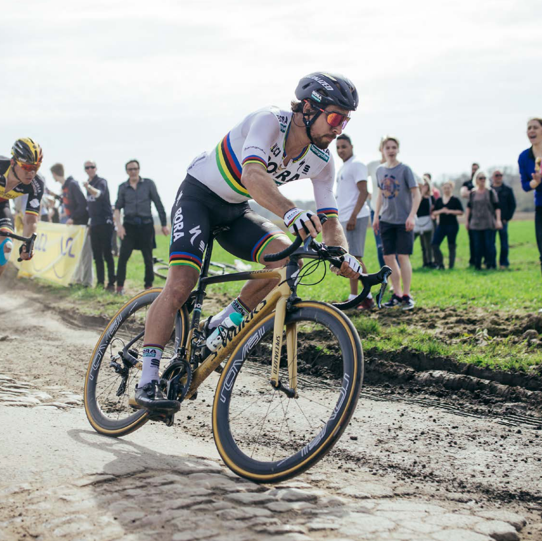Huckleberry Bicycles // Best Bikes and Gear // Shipped to You!